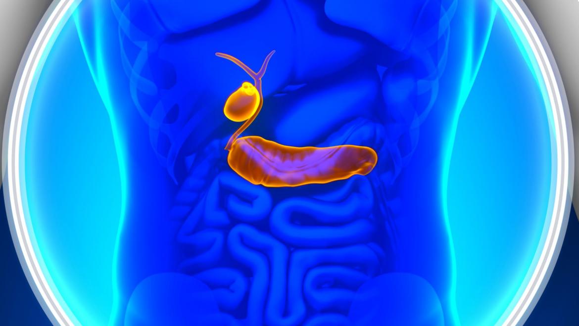 Tiroidectomía: principales detalles | Hospital de Bellvitge